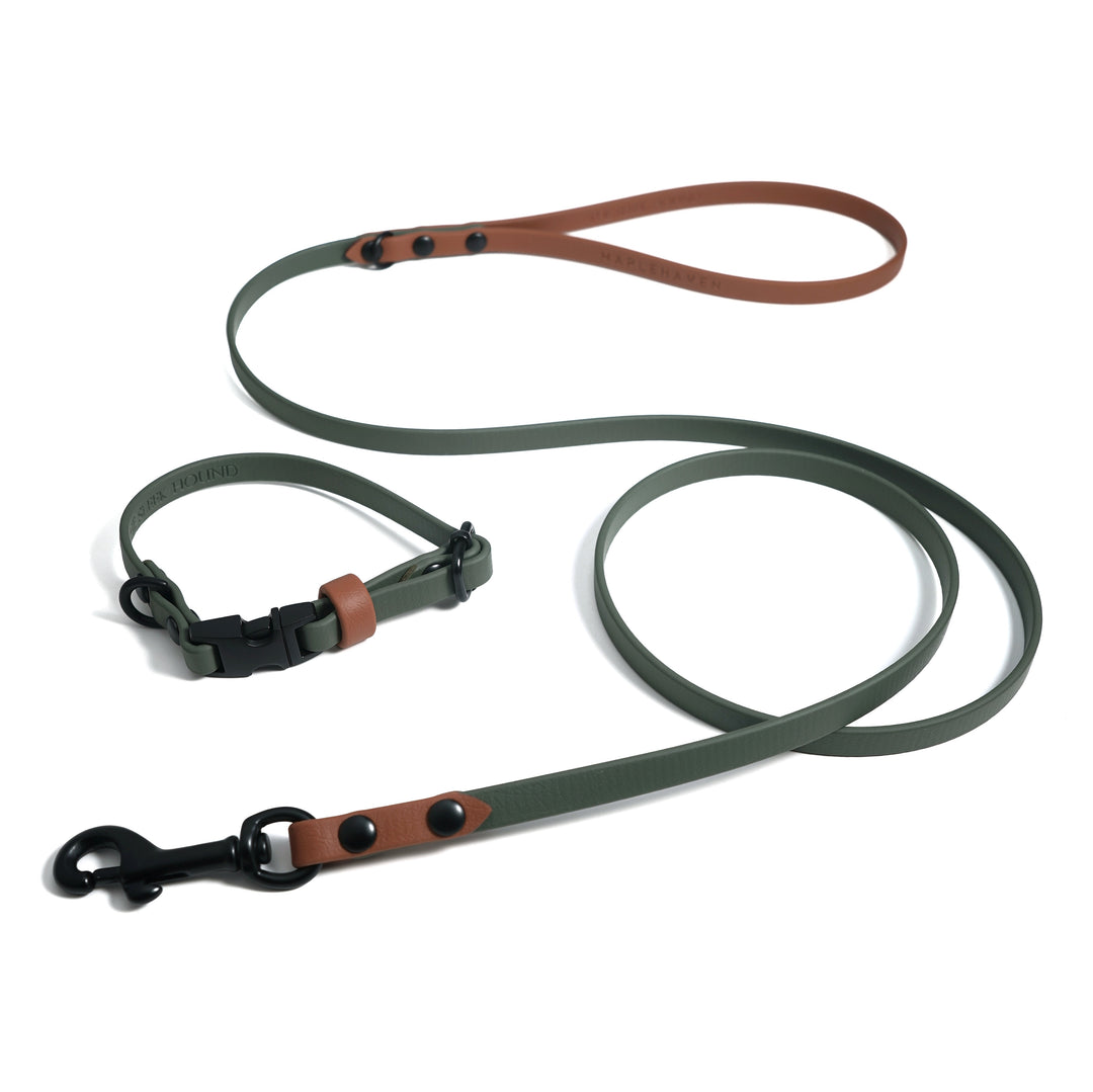 Skinny Classic Leash – The Sleek Hound