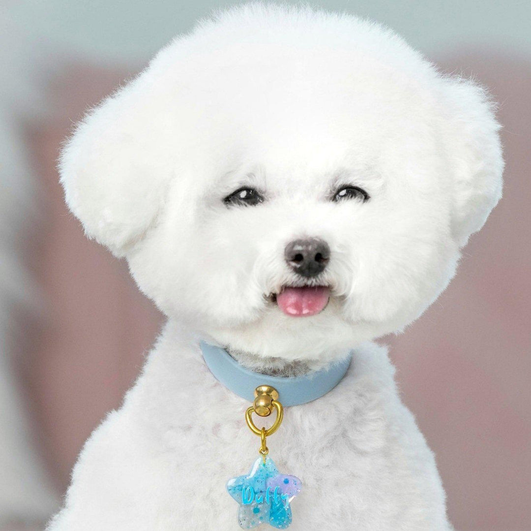 Standard 16mm Width (Small to Medium dogs) – The Sleek Hound