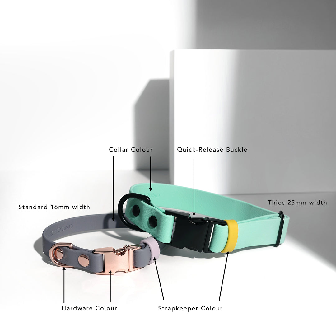 Standard Grow Collar – The Sleek Hound